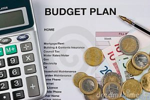 Budget Plans Controls - Sample Dissertations