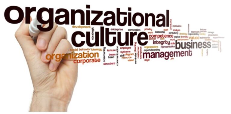 Organization Culture Strategy and Leadership